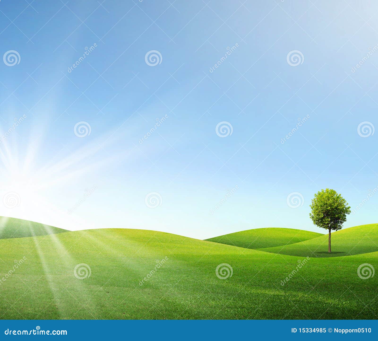 One tree on green field stock image. Image of natural - 15334985