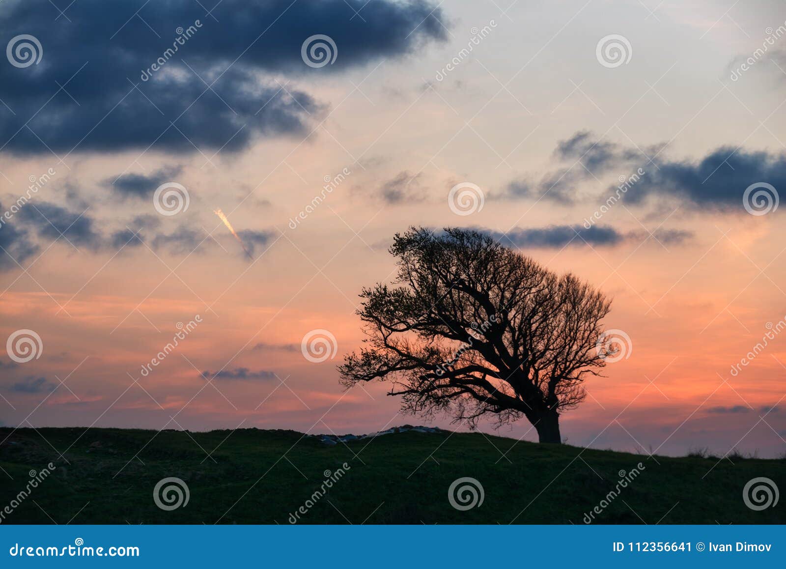One tree hill at sunset stock image. Image of color - 112356641