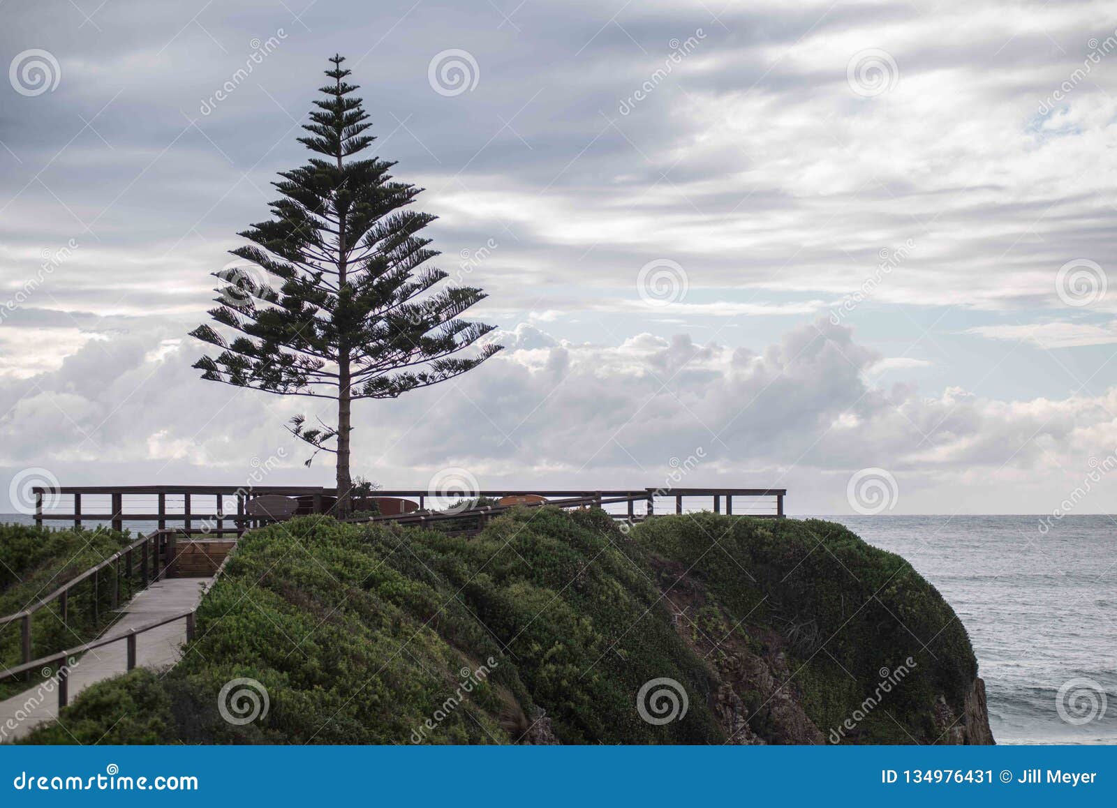 One Tree Point stock image. Image of environment, wave - 134976431