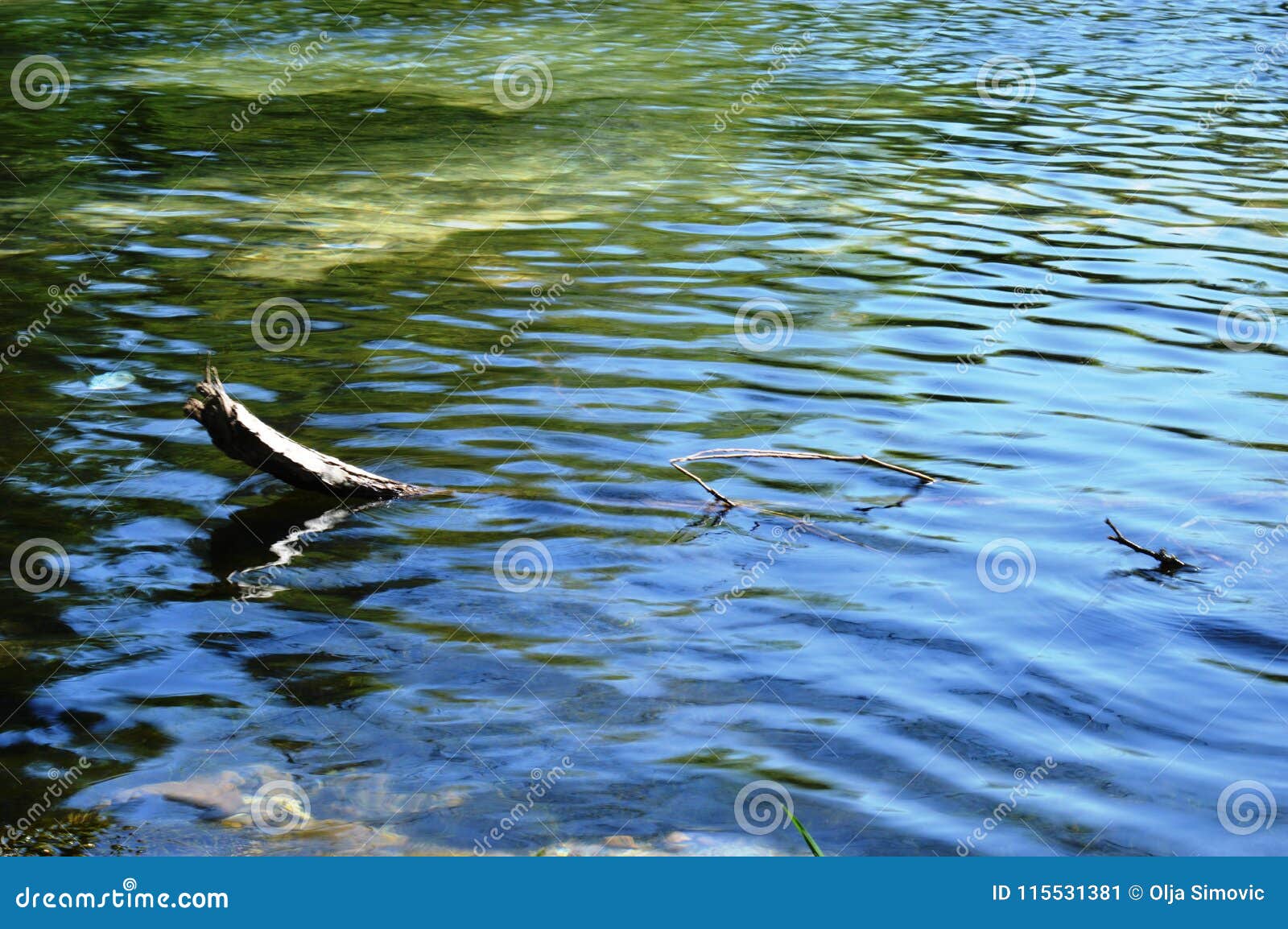 Tree in the river stock image. Image of grass, landscape - 115531381
