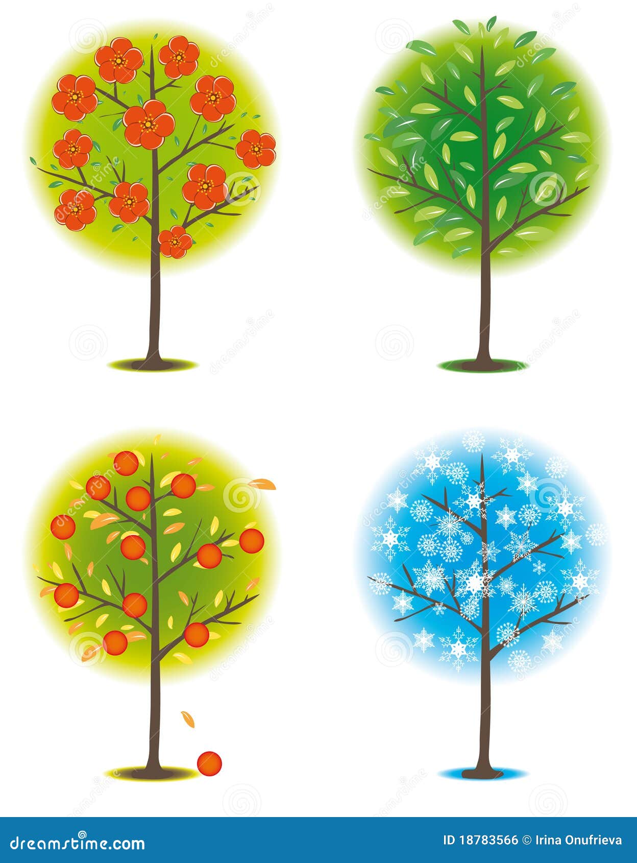 One tree in seasons stock vector. Illustration of botany - 18783566
