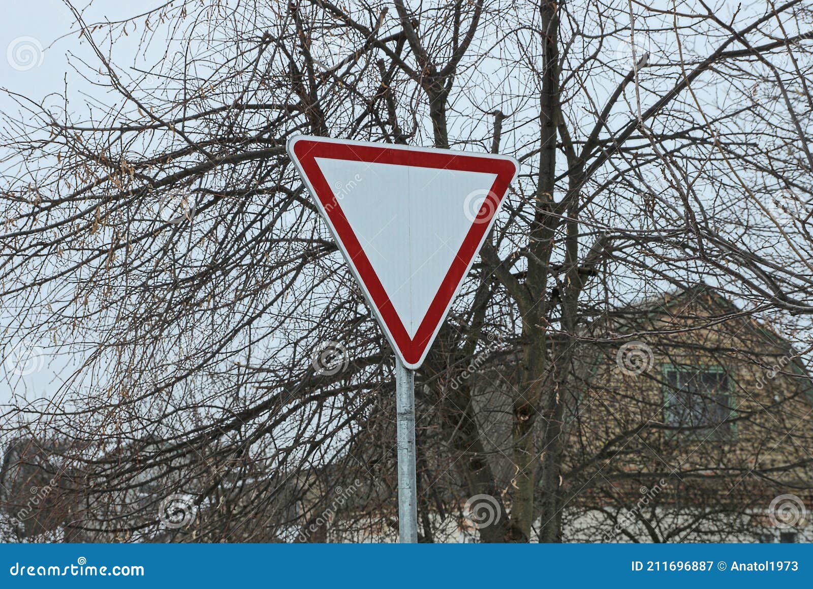 One Triangular Road Sign Give Way with Gray Branches Stock Image ...