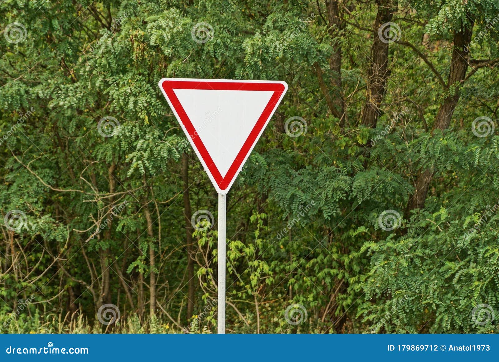 One Triangular Road Sign on a Pillar Give Way Against a Background of ...
