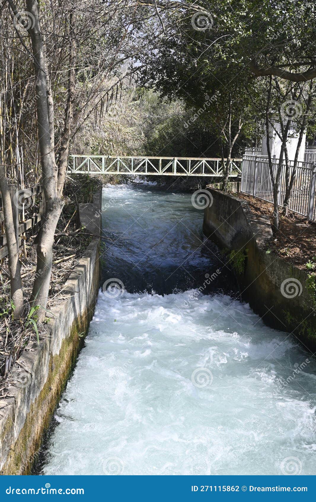 One of the Tributaries of Jordan is a Stream Dan Stock Photo - Image of ...