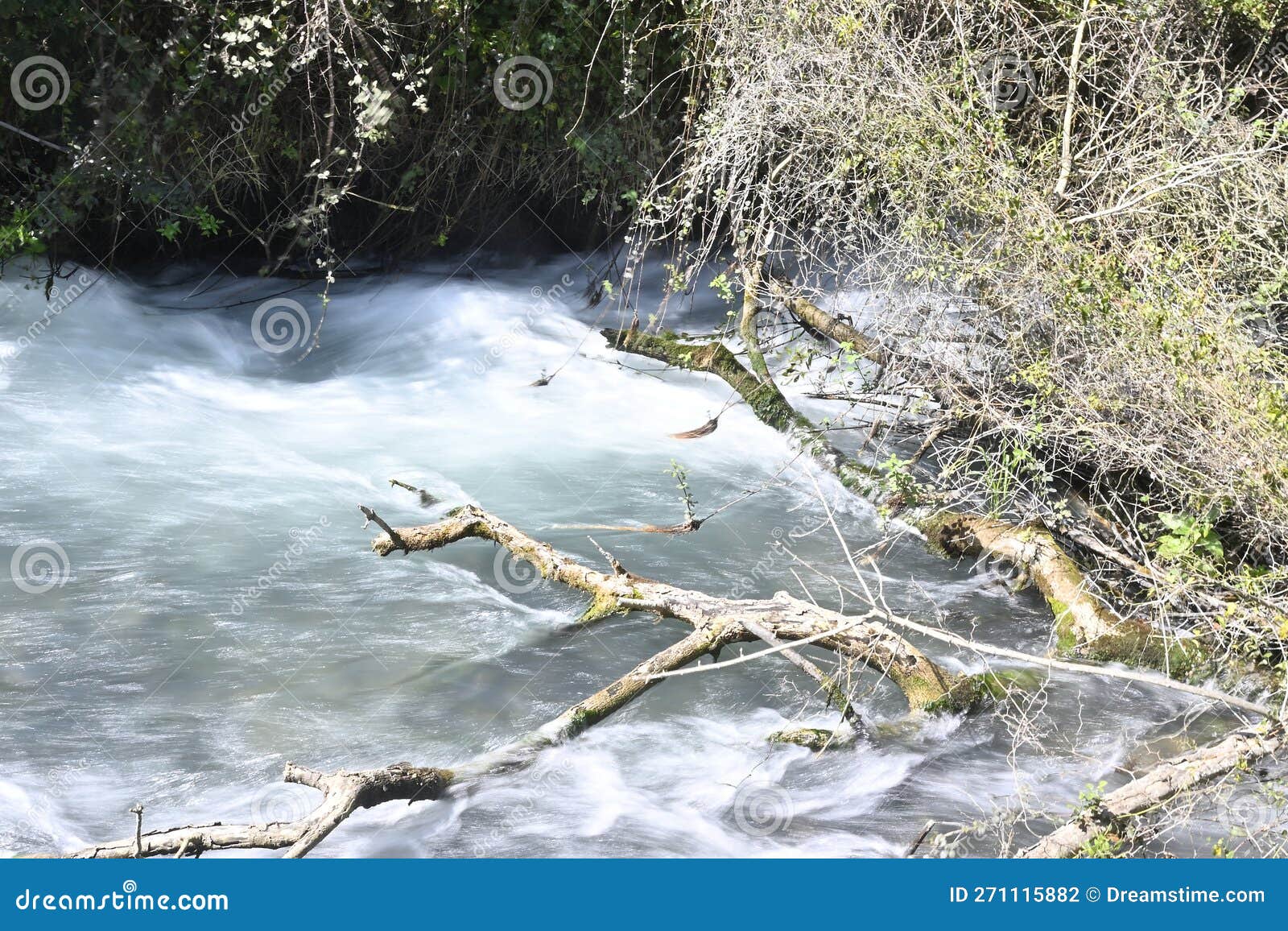 One of the Tributaries of Jordan is a Stream Dan Stock Photo - Image of ...