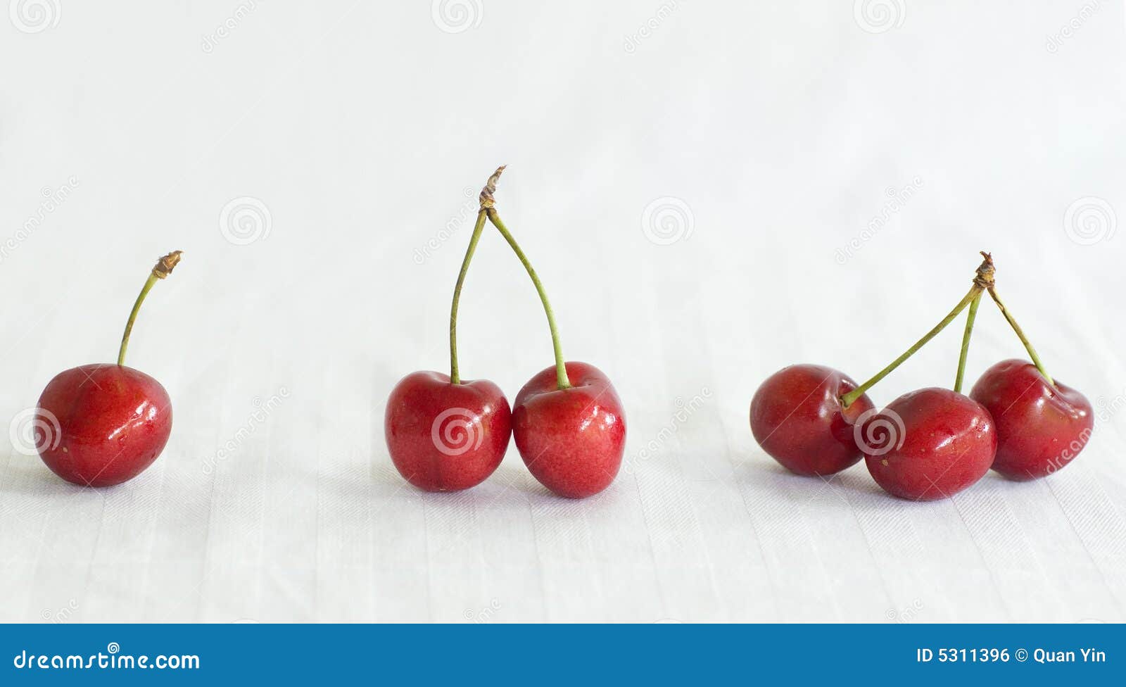 One, two, three cherries. stock photo. Image of delicious - 5311396