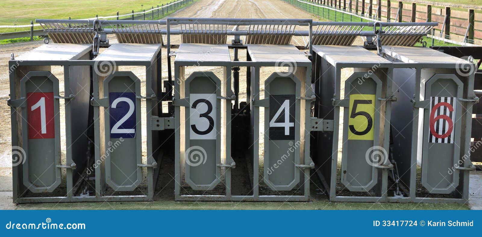 One two three â€“ go stock photo. Image of hound, abuse - 33417724