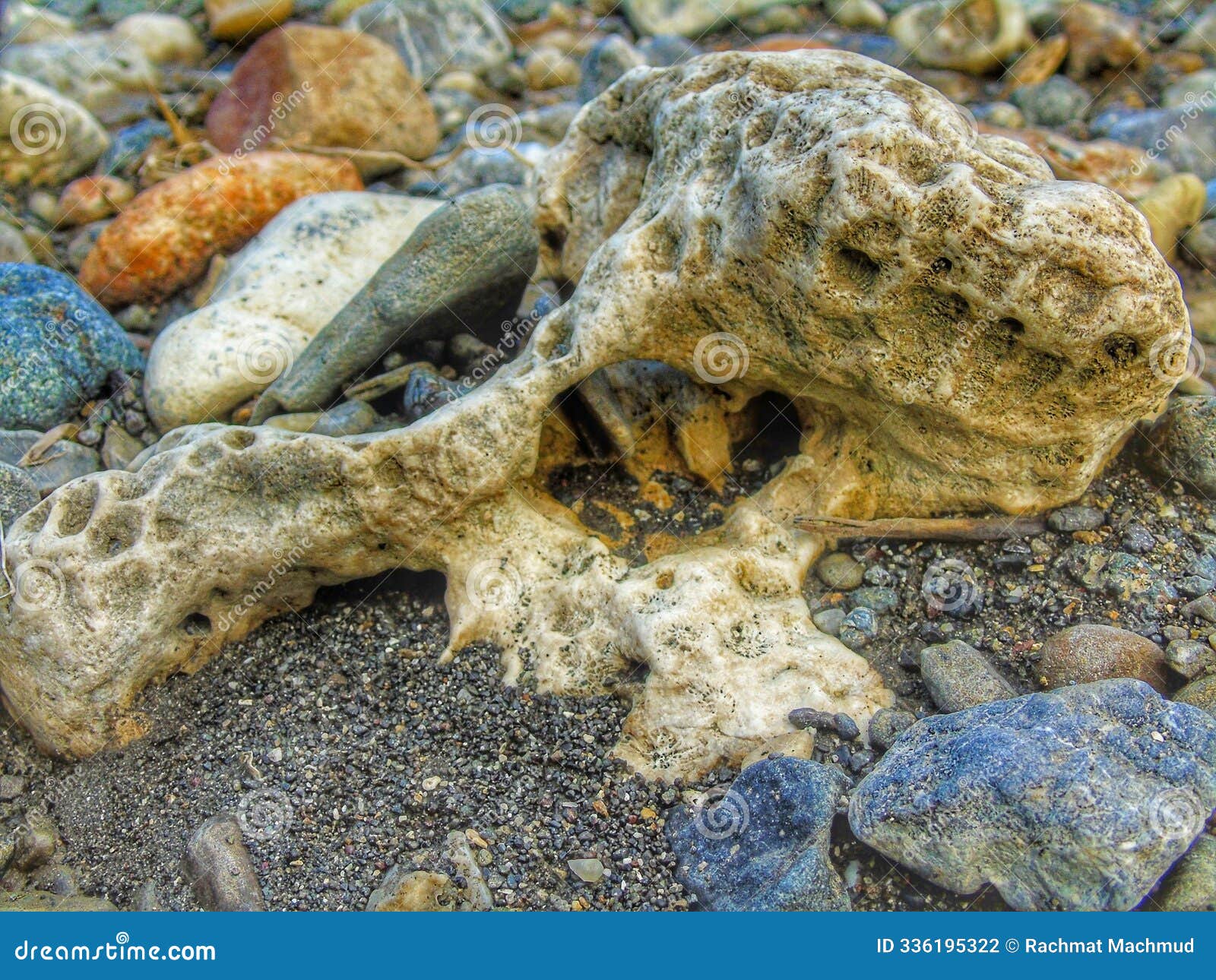 One Type of River Stone that Has an Abstract Shape among a Pile of ...