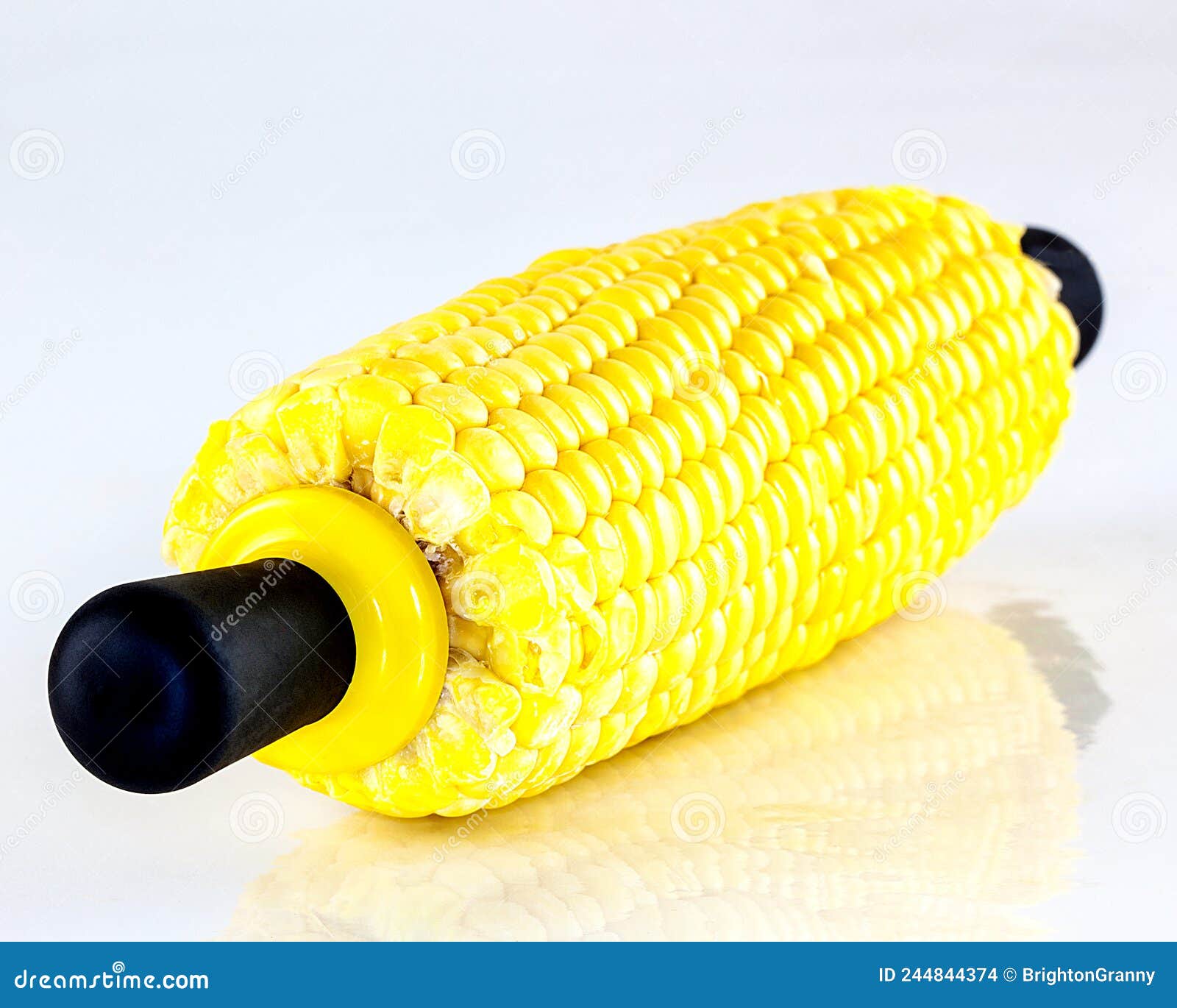 A Single Corn on the Cob on a White Background. Stock Photo - Image of ...
