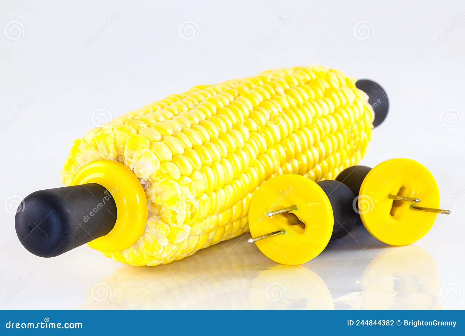 A Single Corn on the Cob on a White Background. Stock Photo - Image of ...