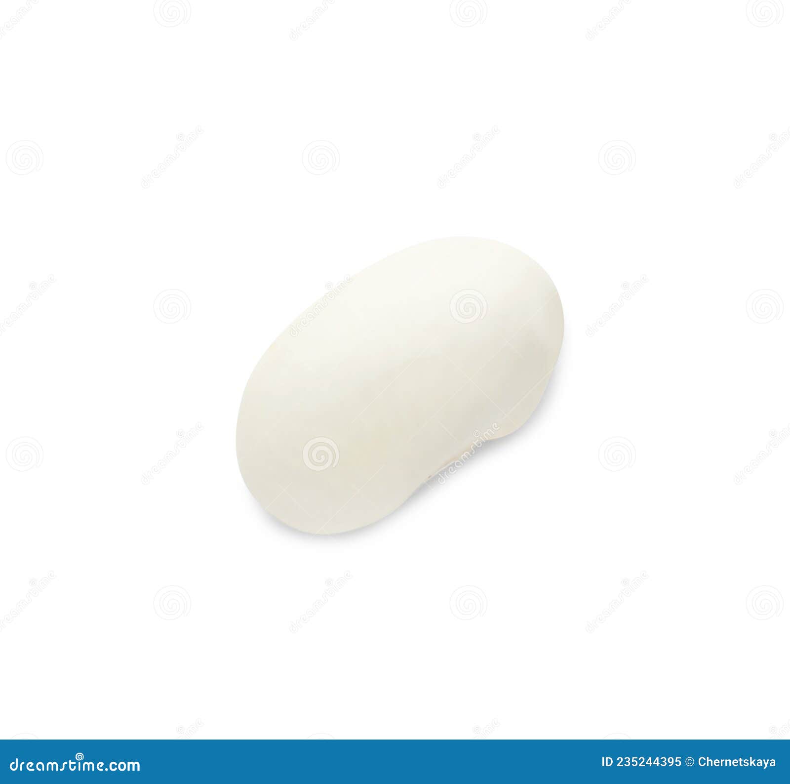 One Uncooked Navy Bean Isolated on White Stock Image - Image of harvest ...