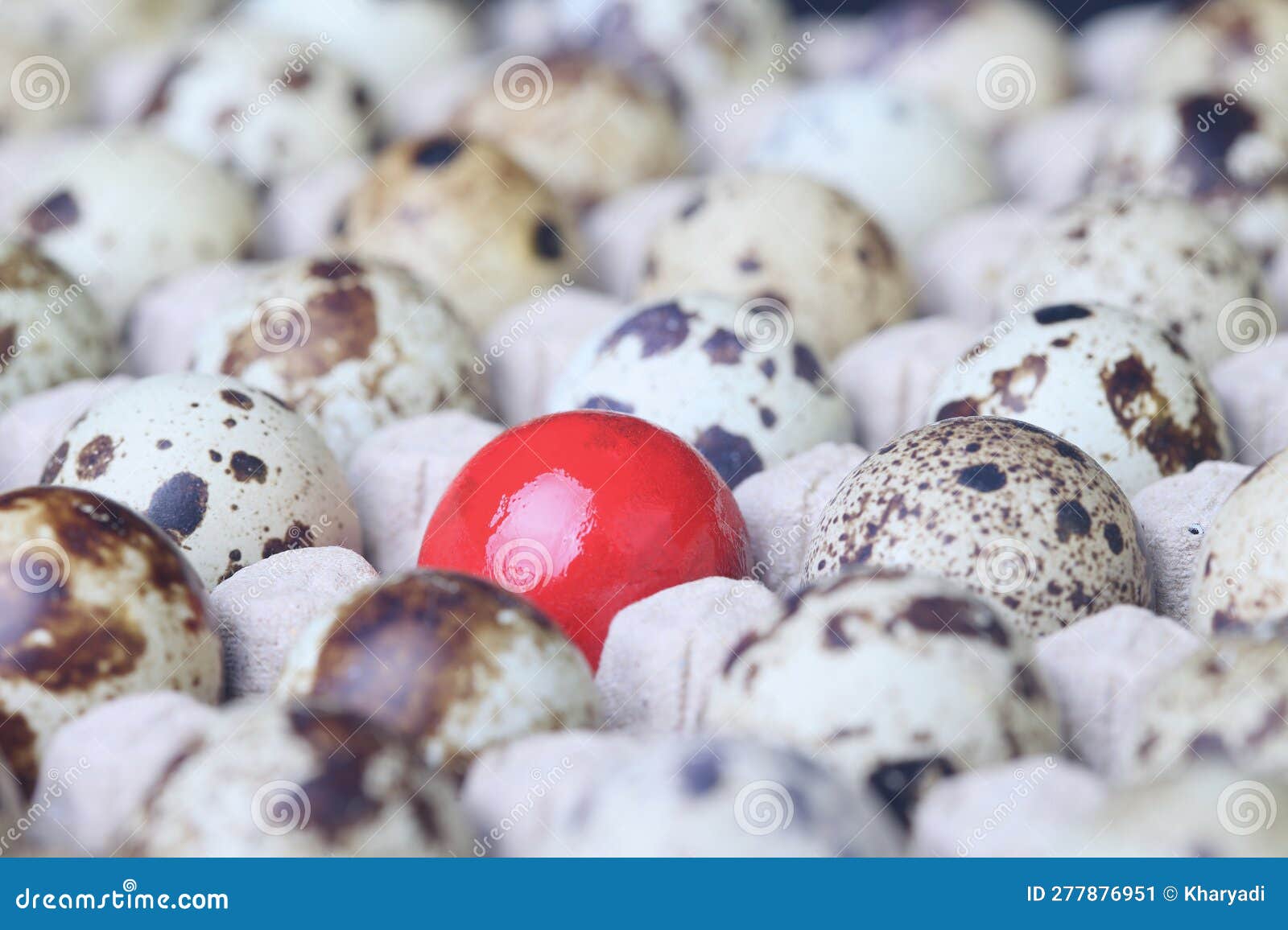 One Unique Red Egg between Quail Eggs. Stock Image - Image of idea ...