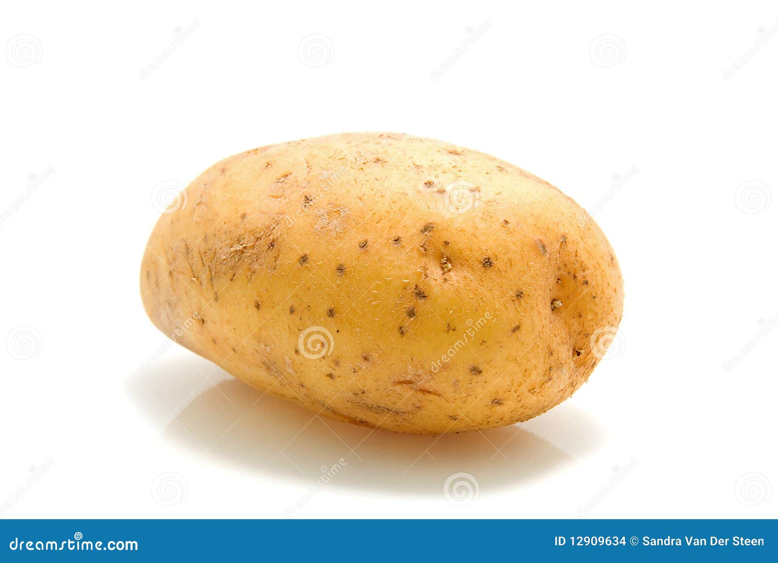 One Unpeeled Raw Potato Stock Images - Image: 12909634