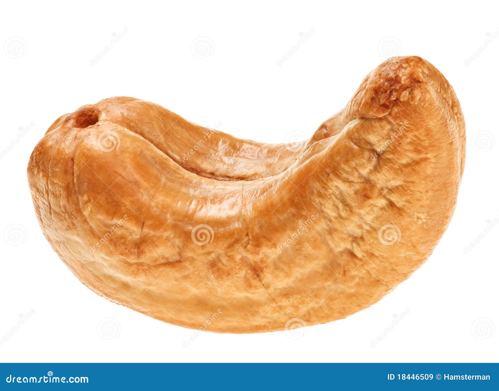 One Unshelled Roasted Cashew Nut on White Stock Image - Image of brown ...