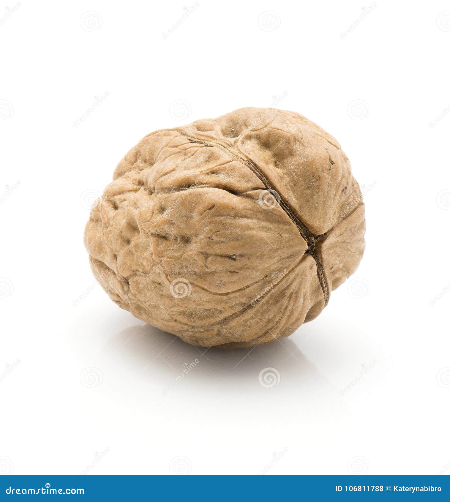 Fresh walnuts isolated stock photo. Image of bronze - 106811788