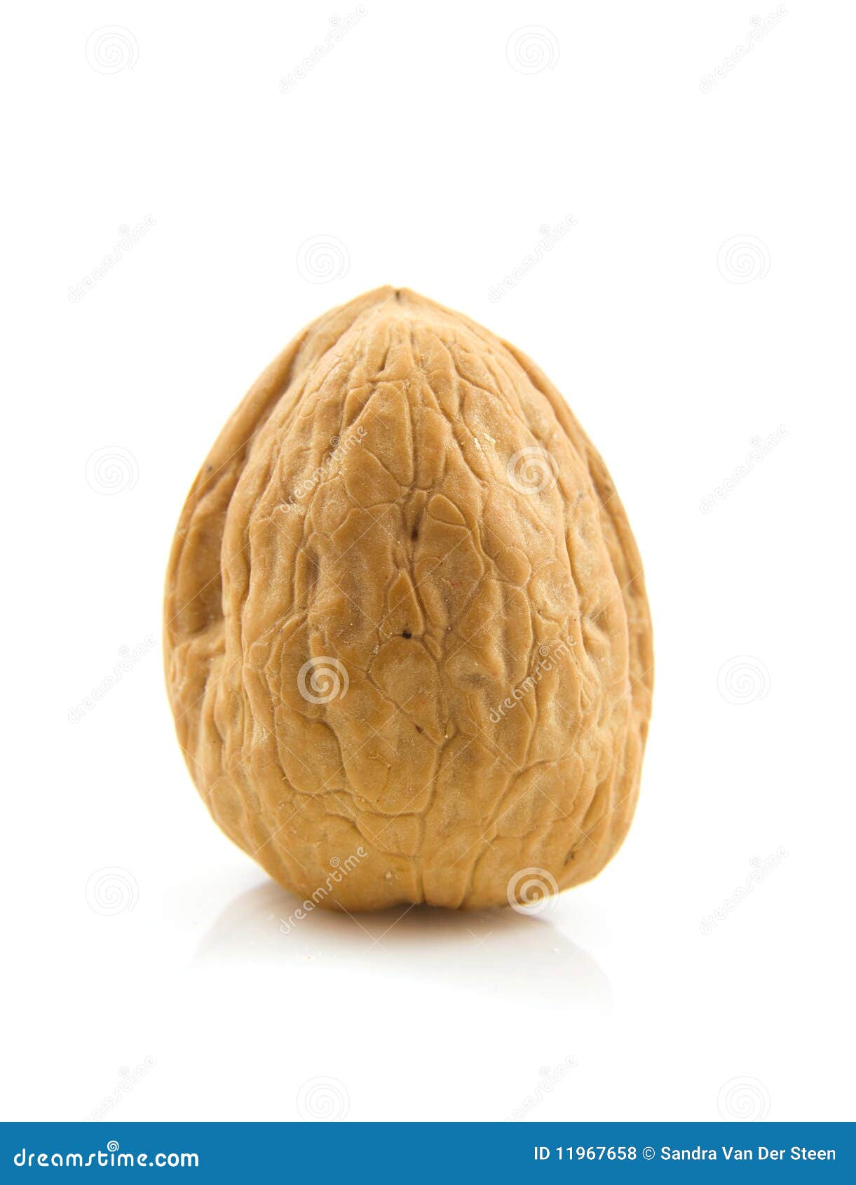 One Walnut