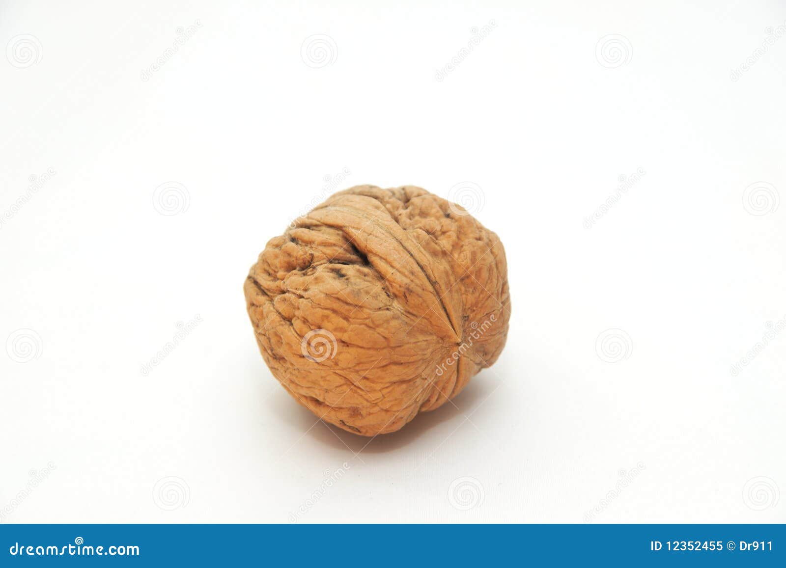 One walnut stock image. Image of walnut, hard, white - 12352455