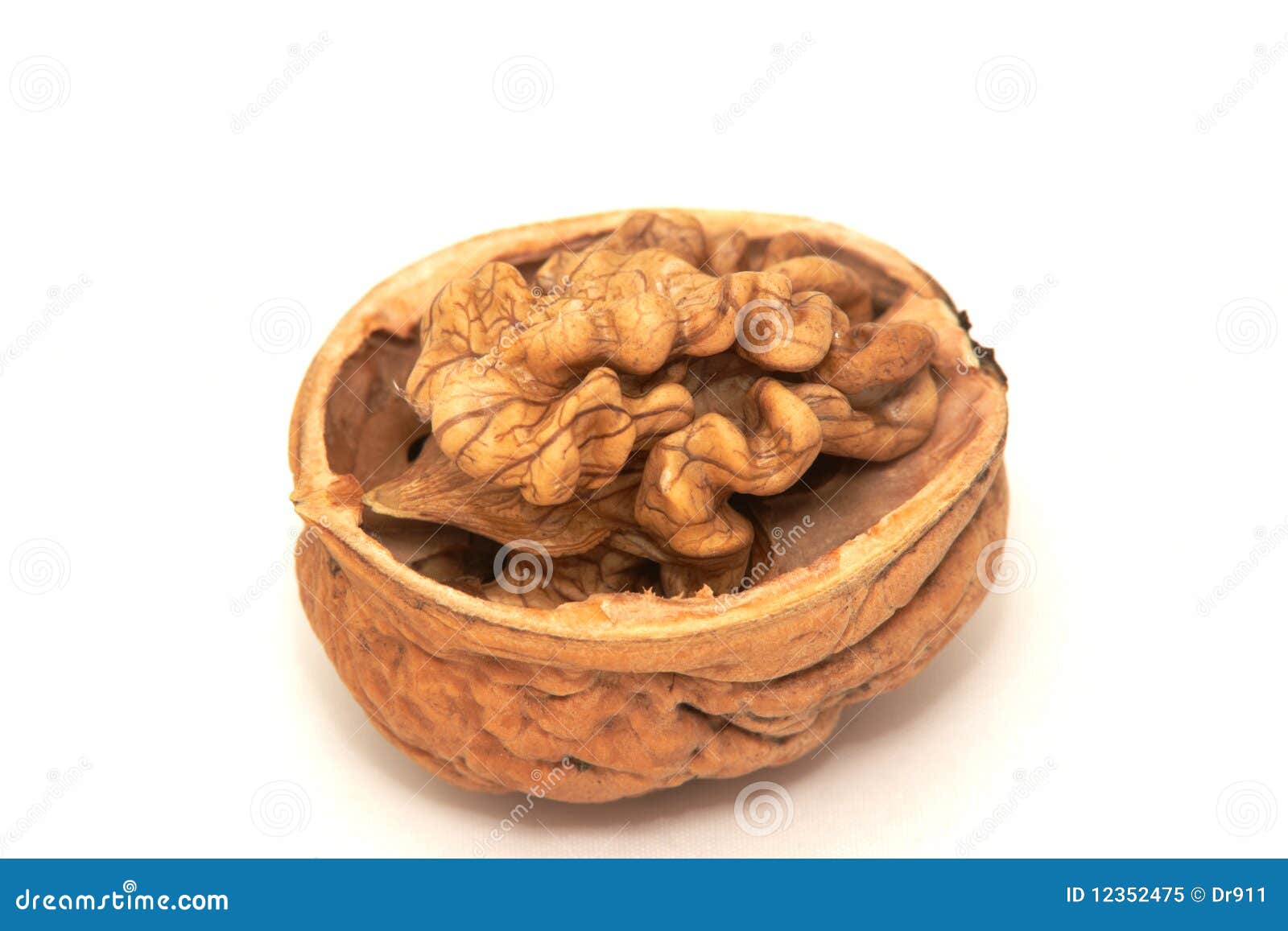 One walnut stock image. Image of isolated, brown, hard - 12352475