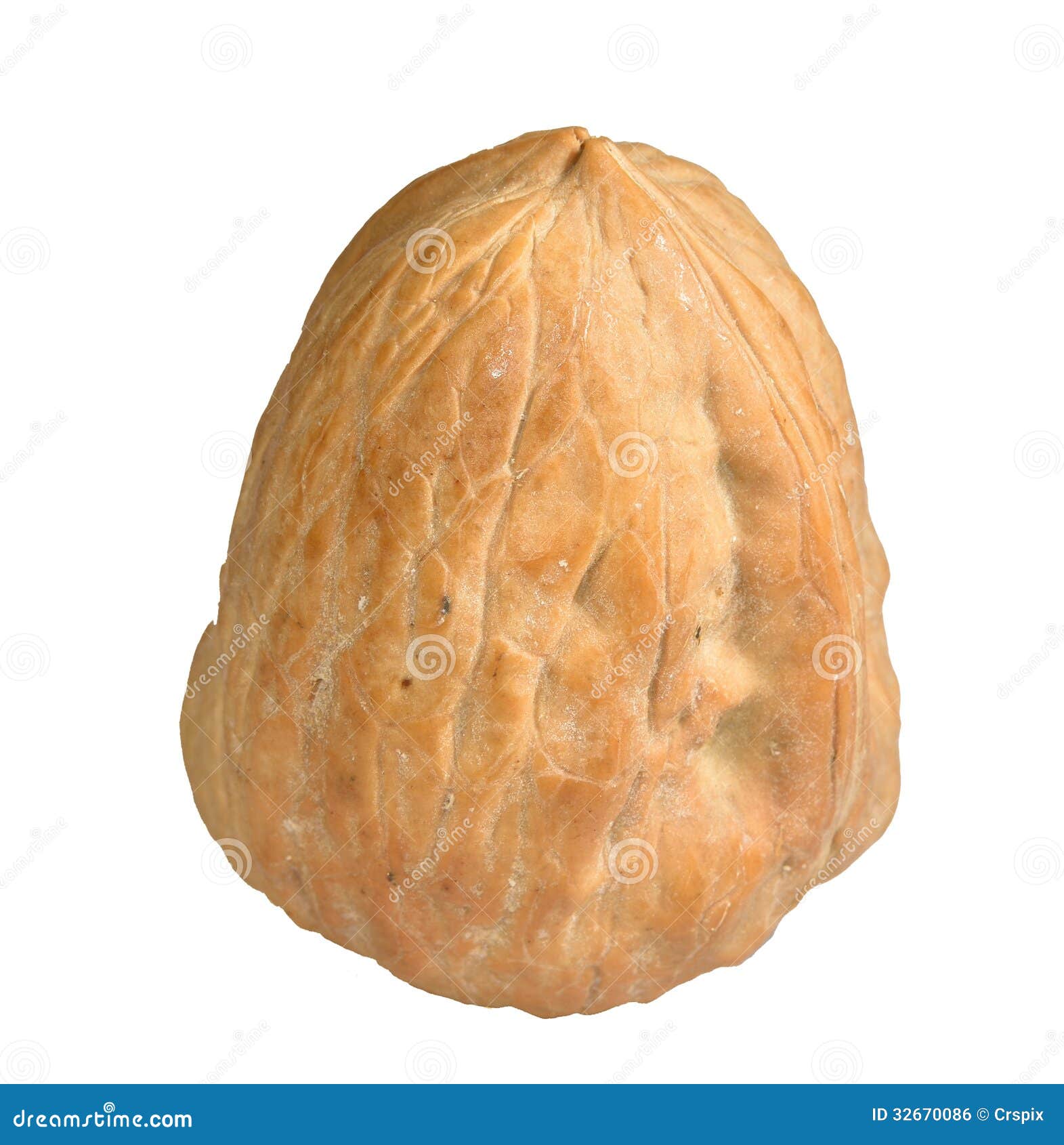 One walnut stock photo. Image of closeup, tasty, walnuts - 32670086