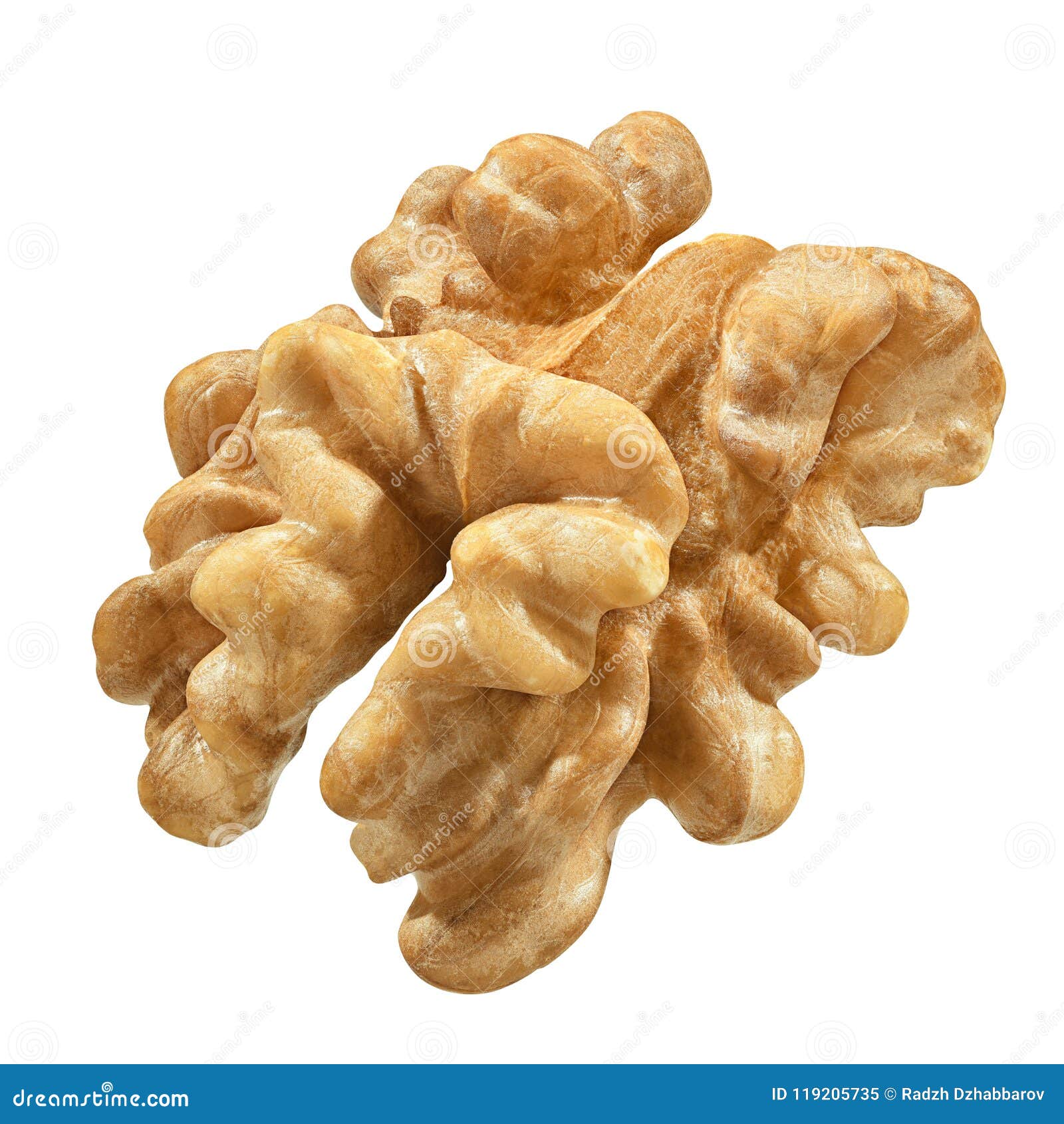 2,676 Isolated One Walnut Stock Photos - Free & Royalty-Free Stock ...