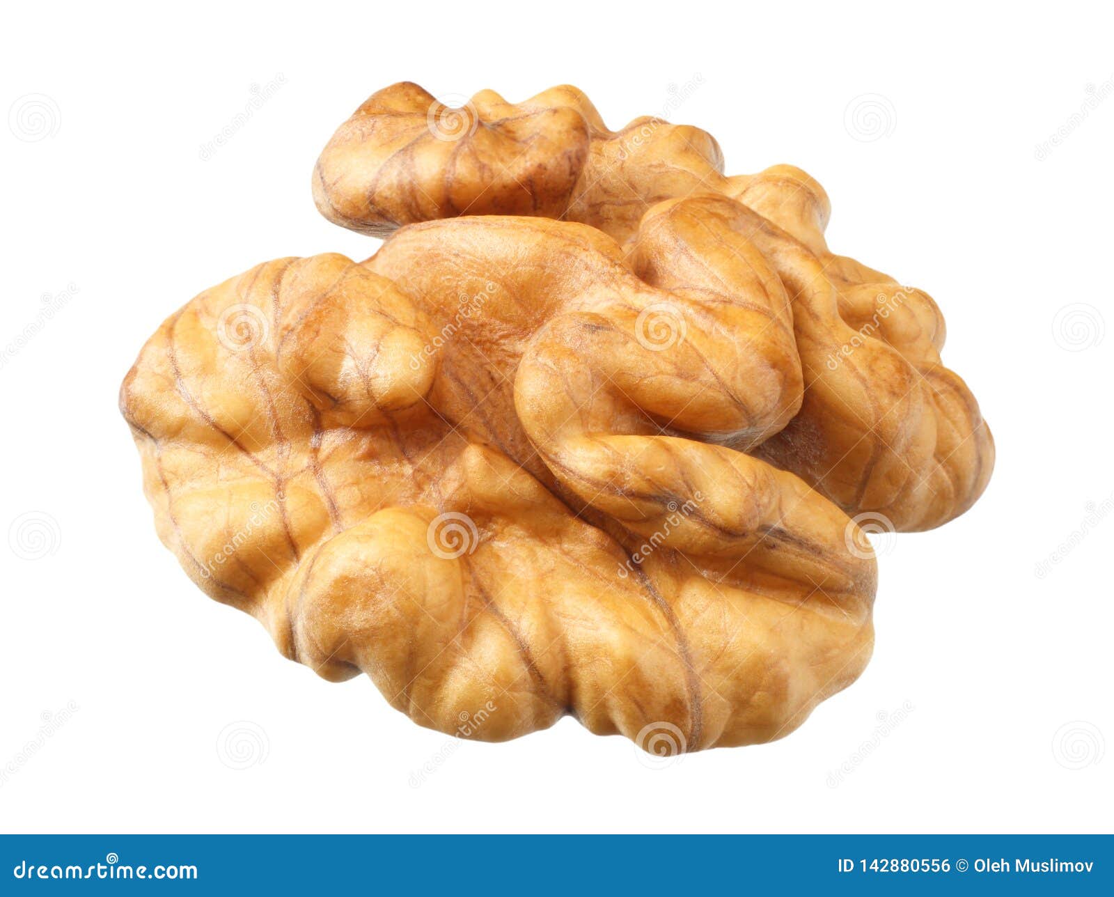 One Walnut Isolated on White Background Stock Photo - Image of natural ...