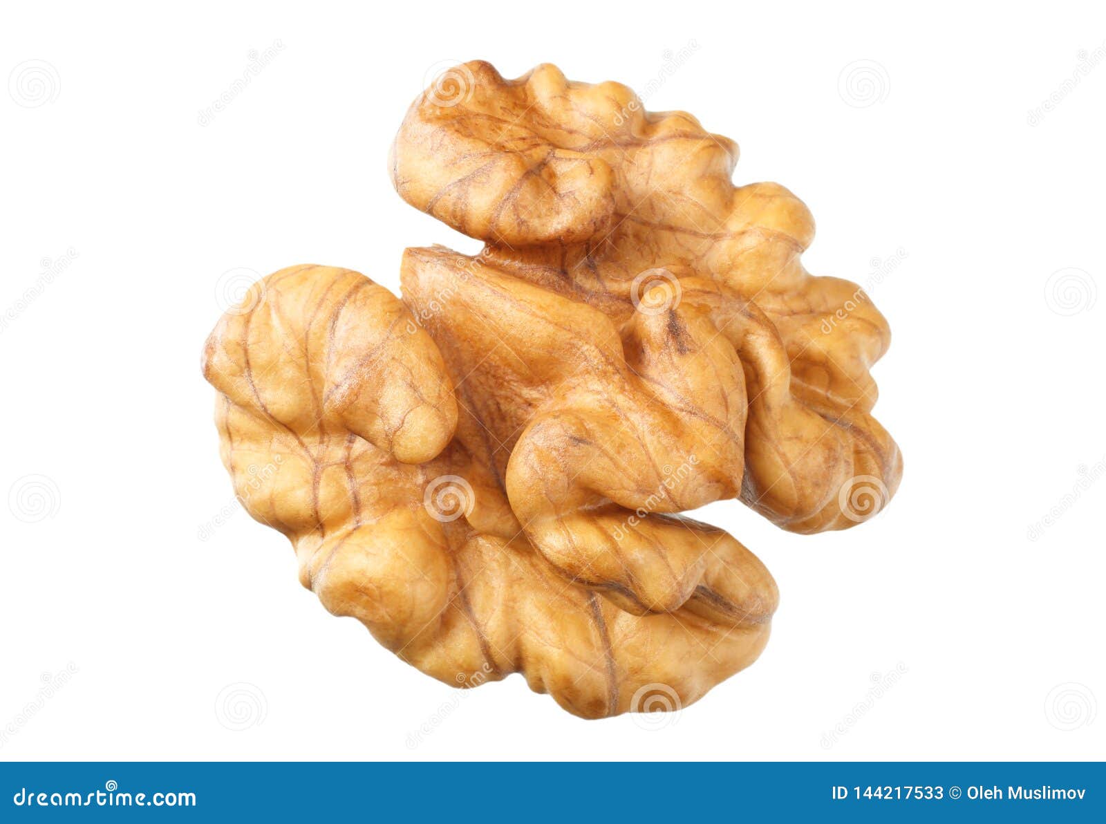 One Walnut Isolated on White Background Top View Stock Image - Image of ...