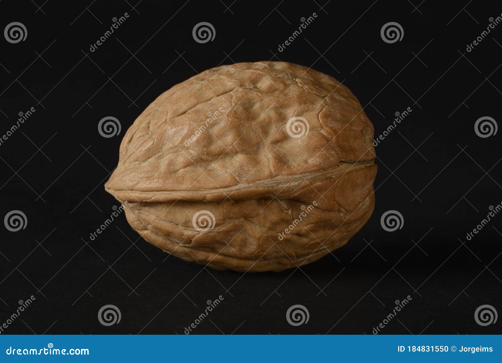 One walnut in studio stock photo. Image of vitamins - 184831550