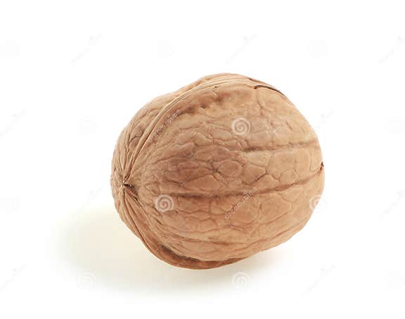 One walnut stock photo. Image of pattern, wrinkled, single - 36434864