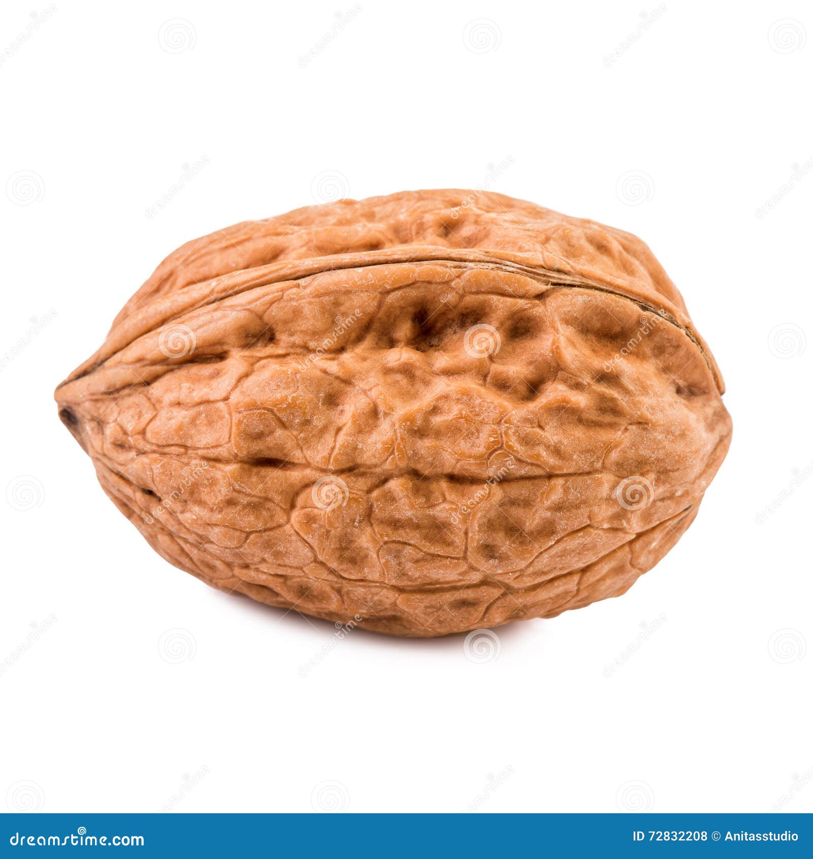 One Walnut On White Background. Closeup Stock Photo - Image of baking ...