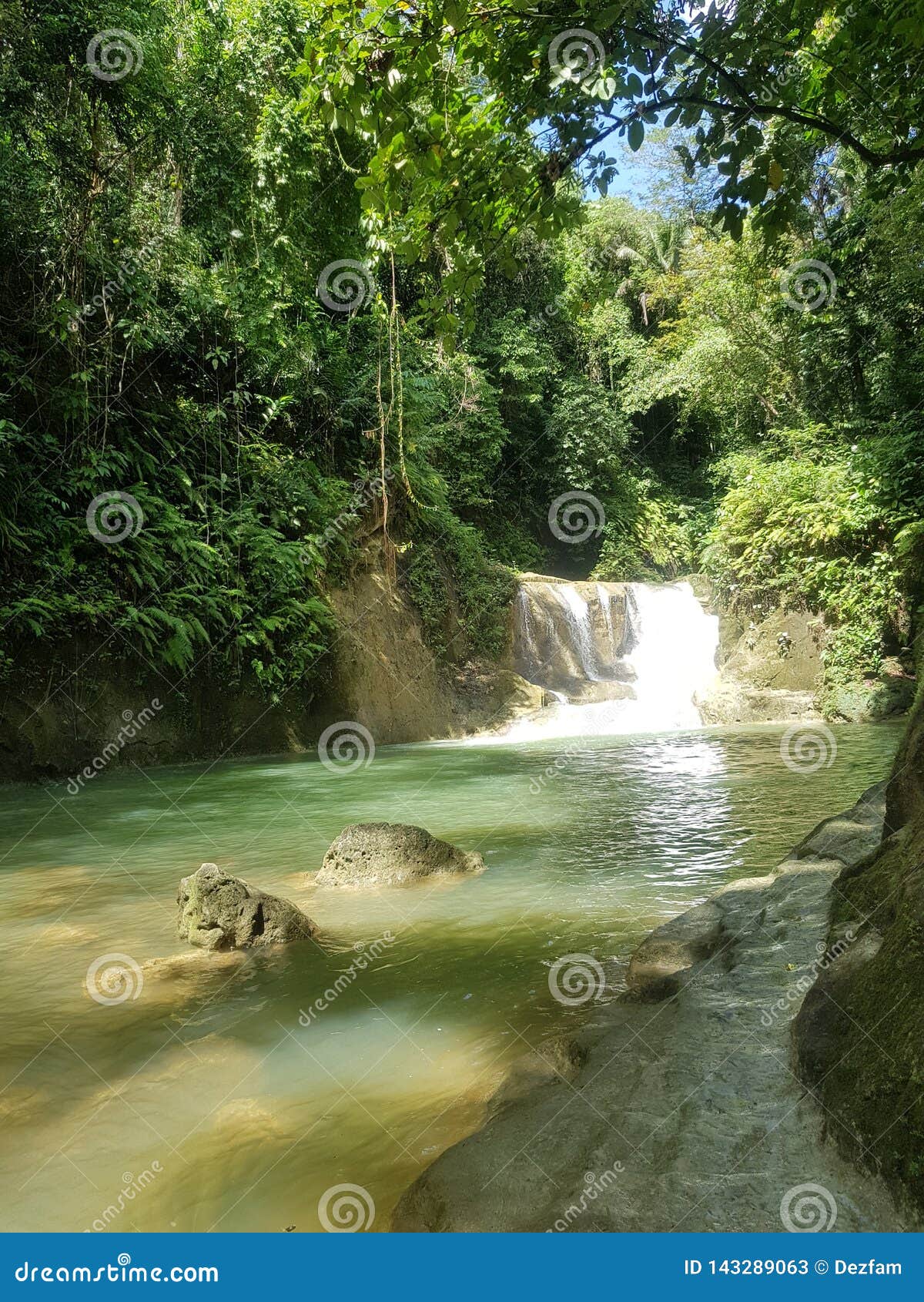 One of the Water Falls in Bohol Philippines Stock Image - Image of ...