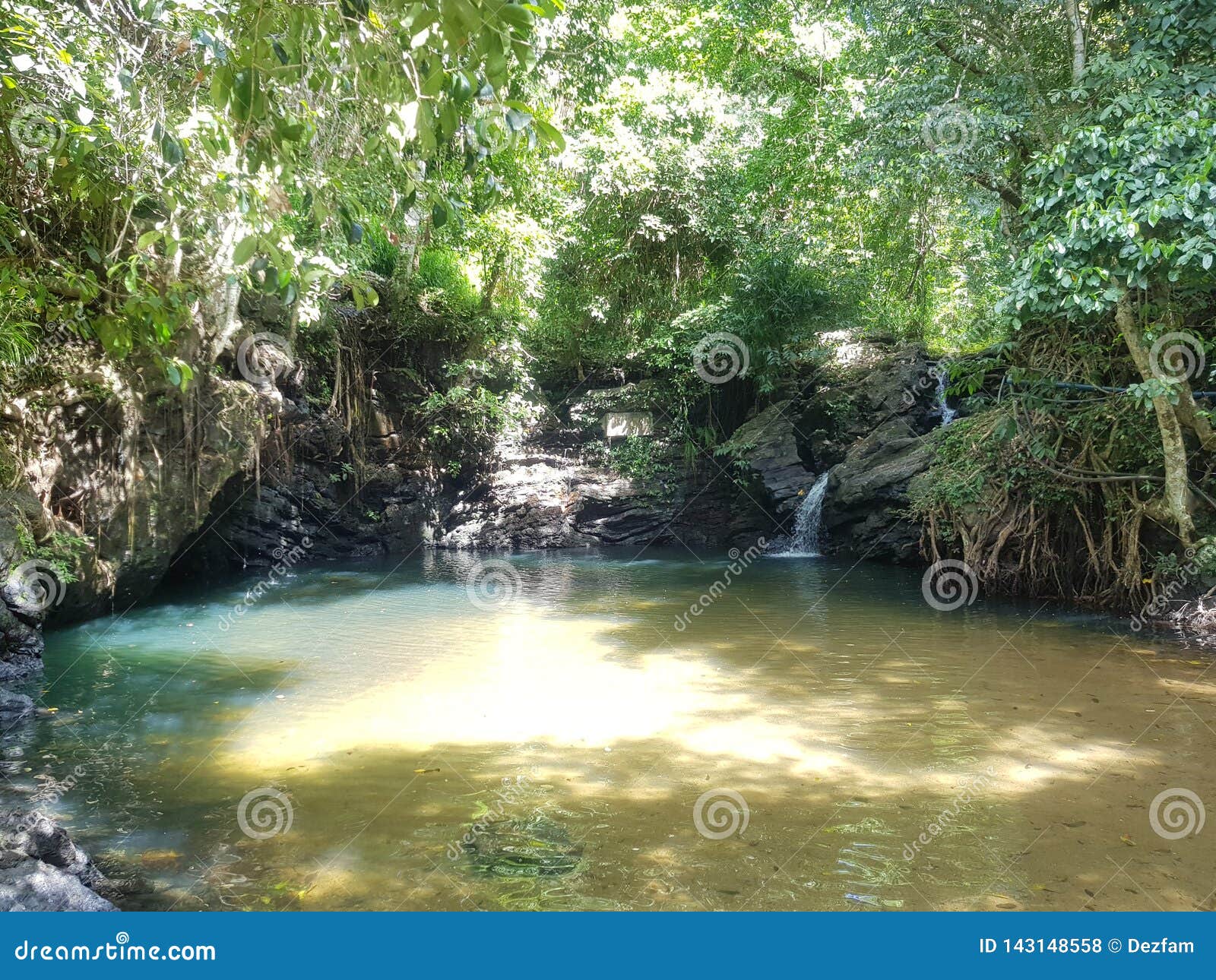 One of the Water Falls in Coron Palawan Stock Photo - Image of palawan ...
