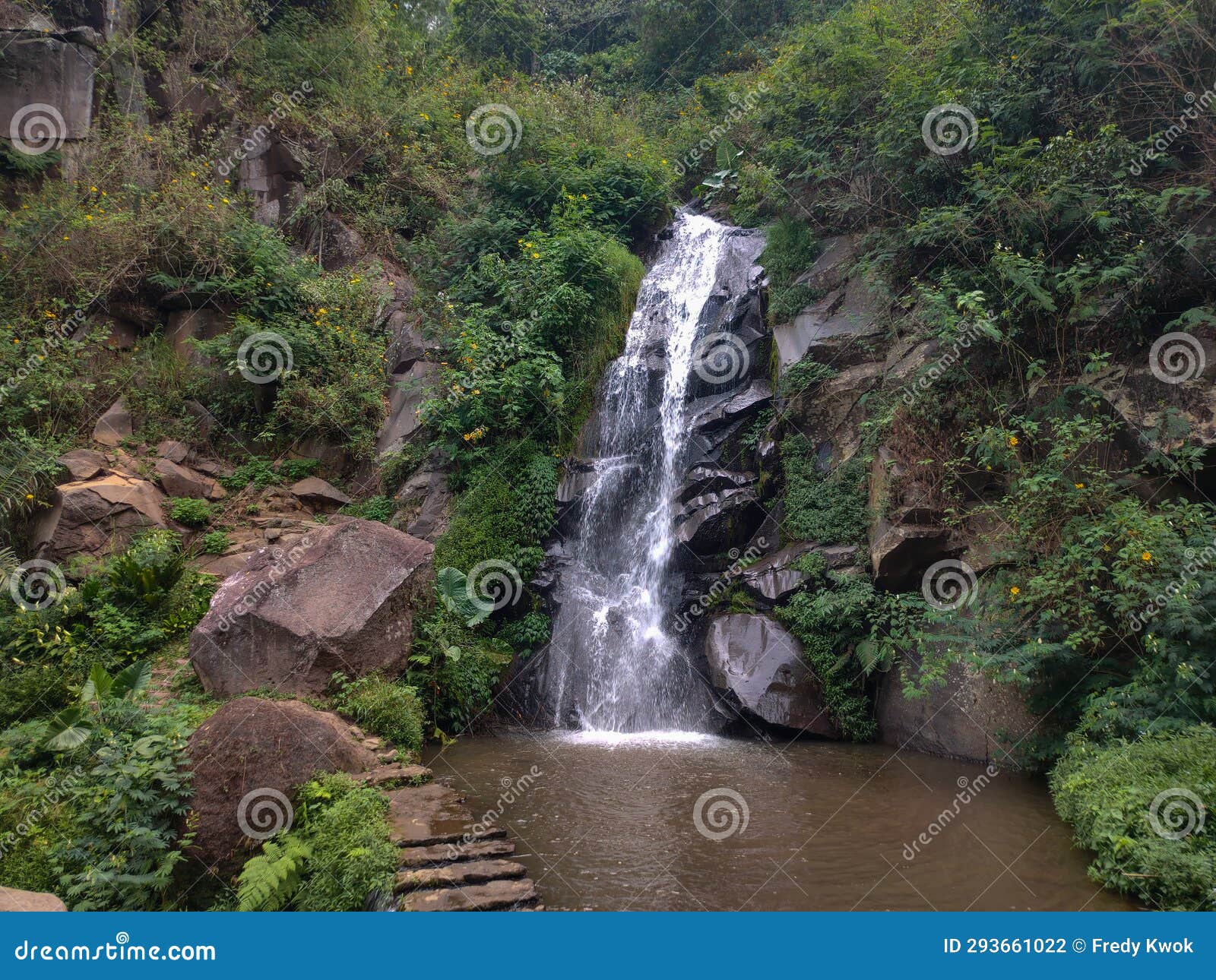 Waterfall Coban Putri East Java Indonesia Stock Photo - Image of plants ...