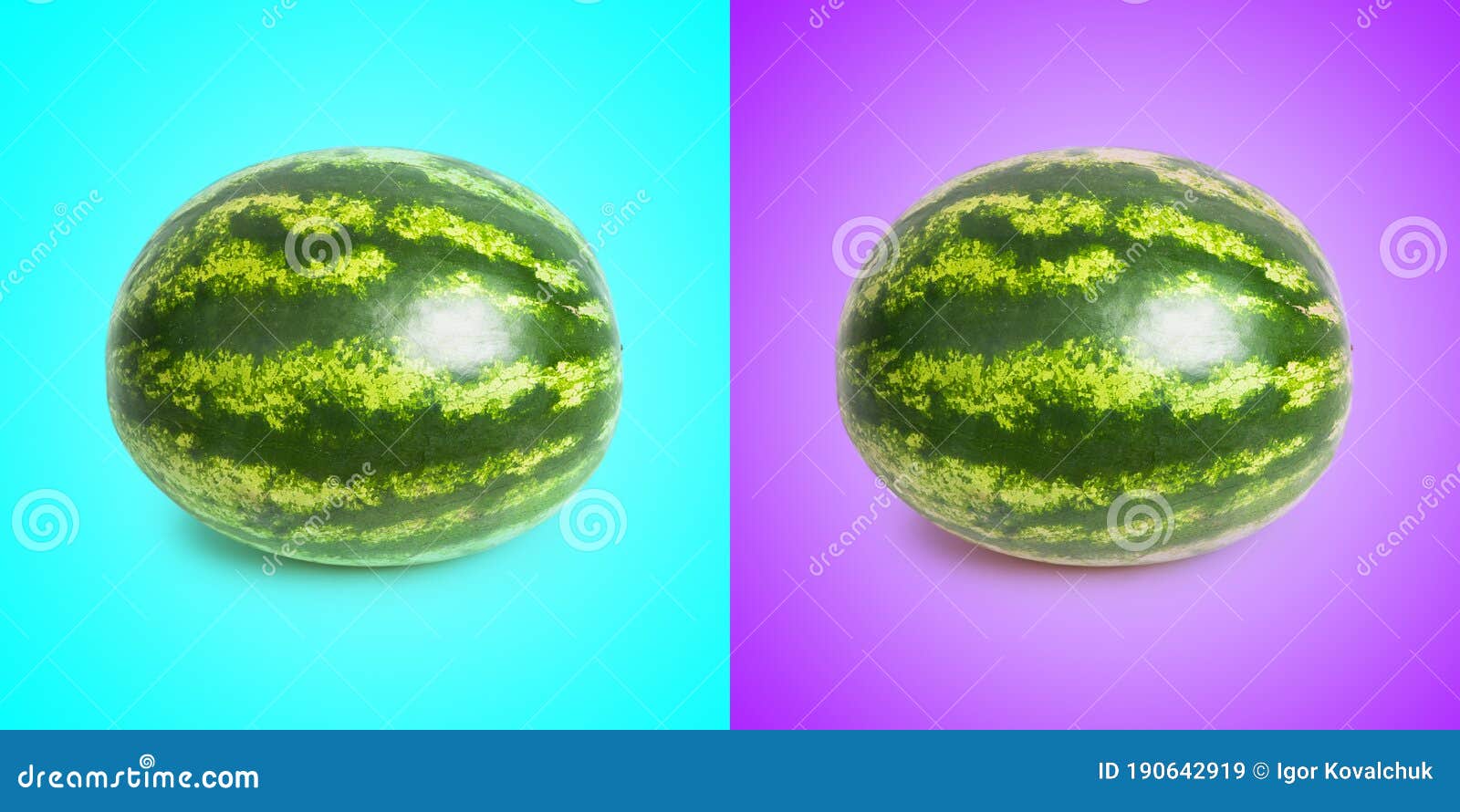 One watermelon isolated stock image. Image of peel, nutrition - 190642919