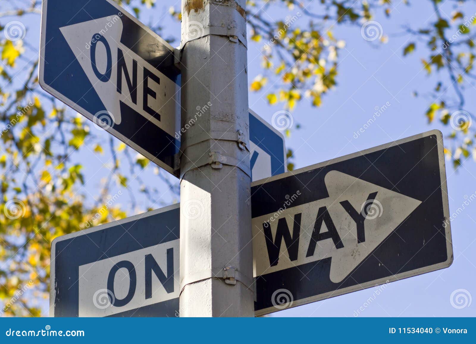 One way stock photo. Image of leaves, fall, autumn, foliage - 11534040