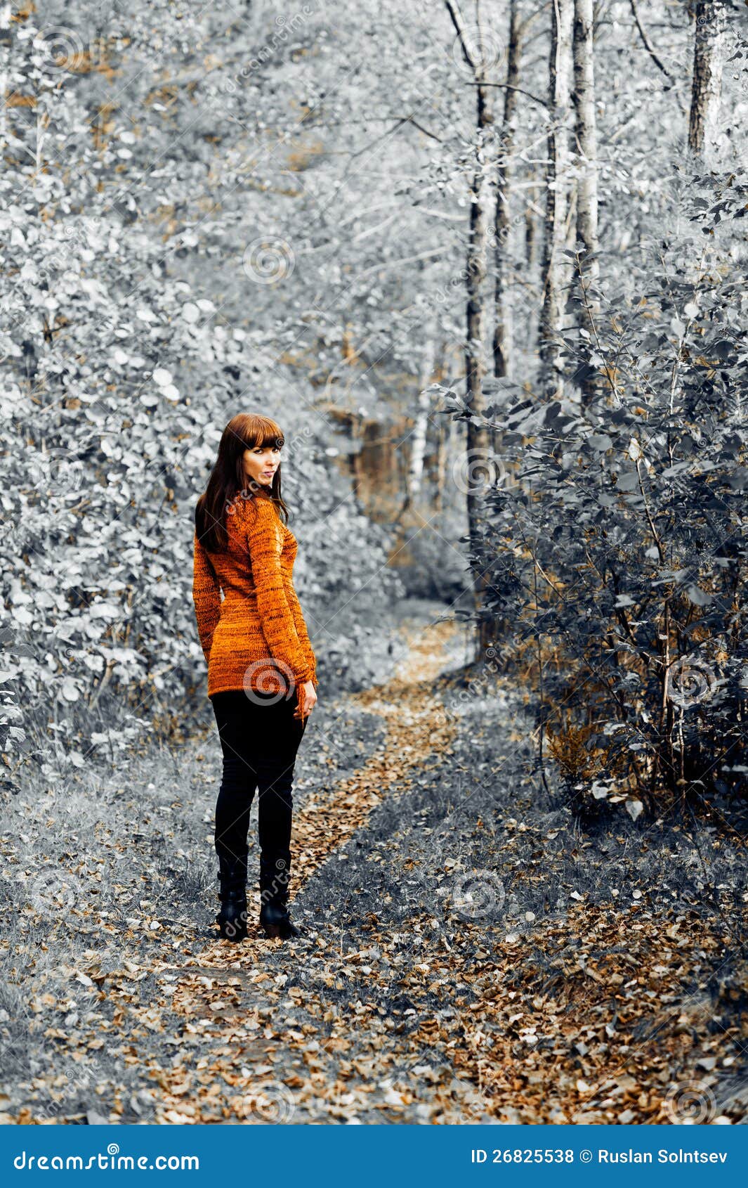 One way stock photo. Image of unknown, road, fall, trees - 26825538