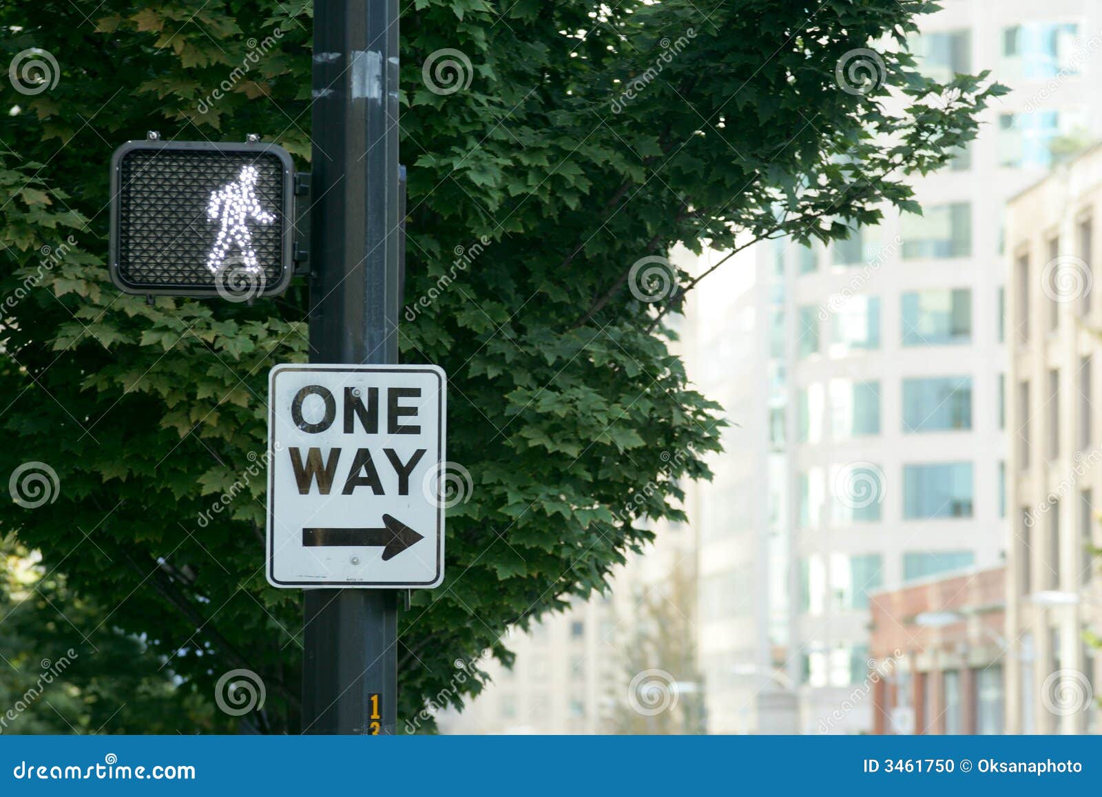 One way stock photo. Image of building, tree, city, crossing - 3461750