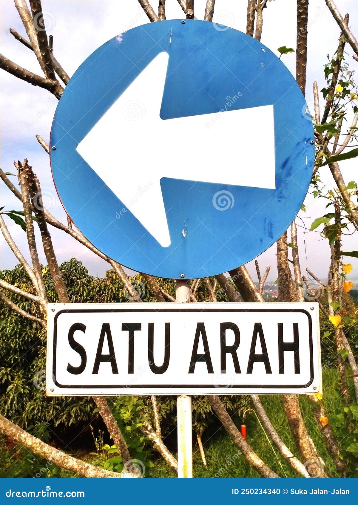 One way direction sign stock photo. Image of direction - 250234340