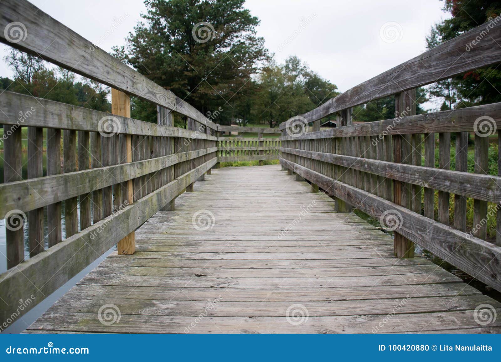 Path stock photo. Image of place, pointofview, bluesky - 100420880