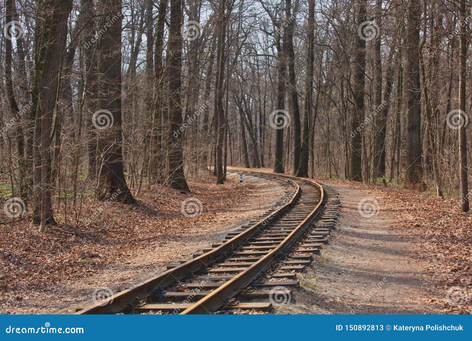One-way Railroad Track through Bare Early Spring Forest Stock Image ...
