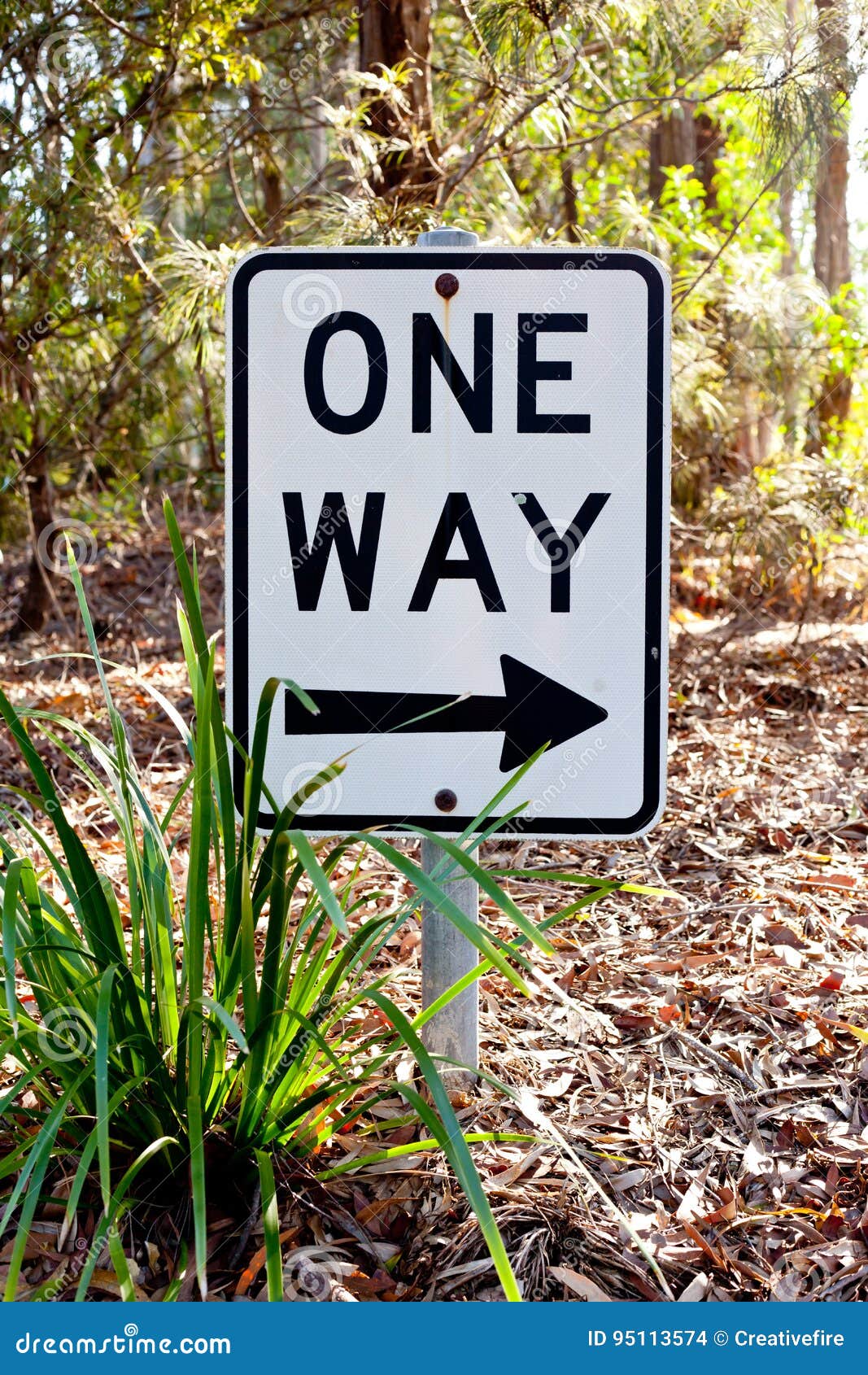 One Way Road Sign stock photo. Image of sign, road, green - 95113574