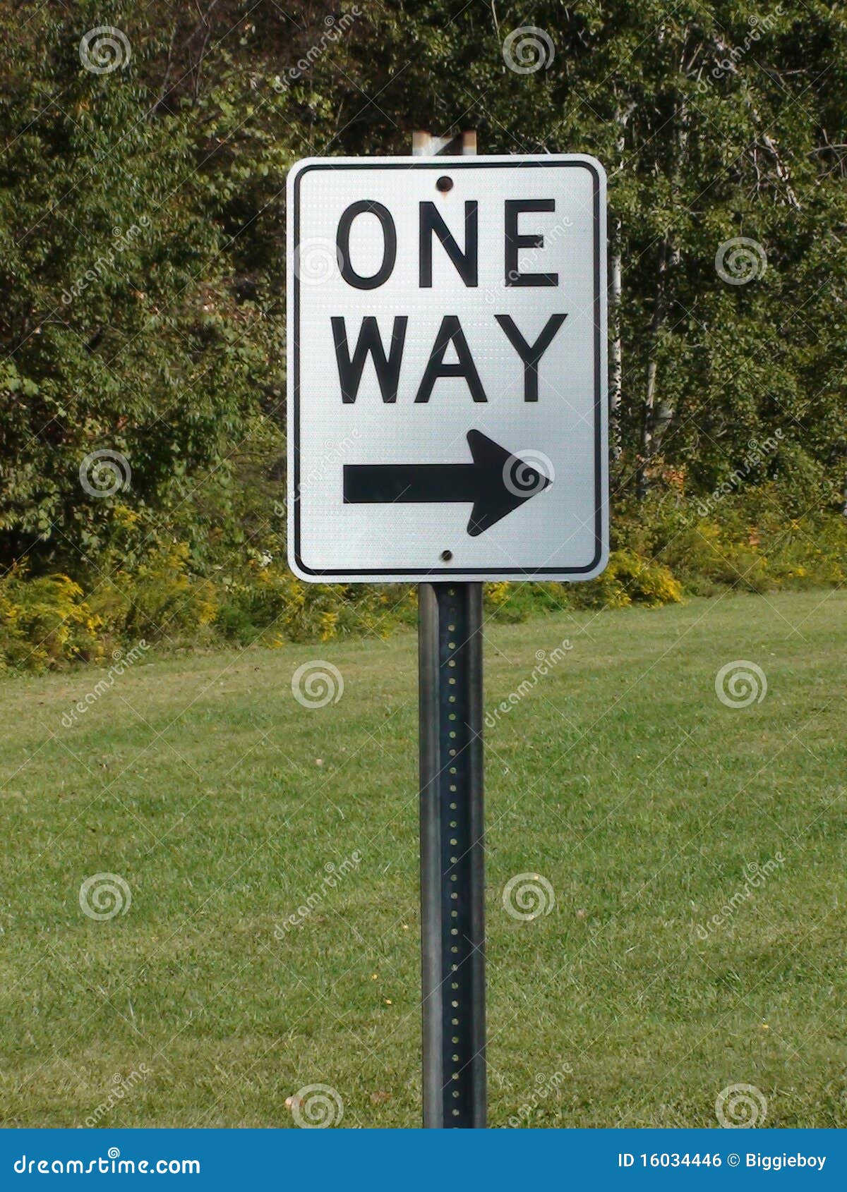 One Way Sign stock photo. Image of auto, travel, autos - 16034446