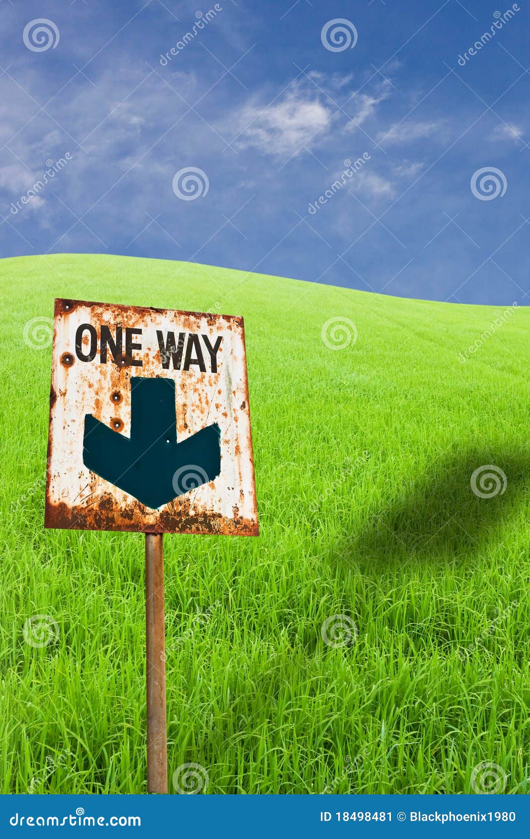 One Way Sign On Green Rice Farm Stock Image - Image: 18498481