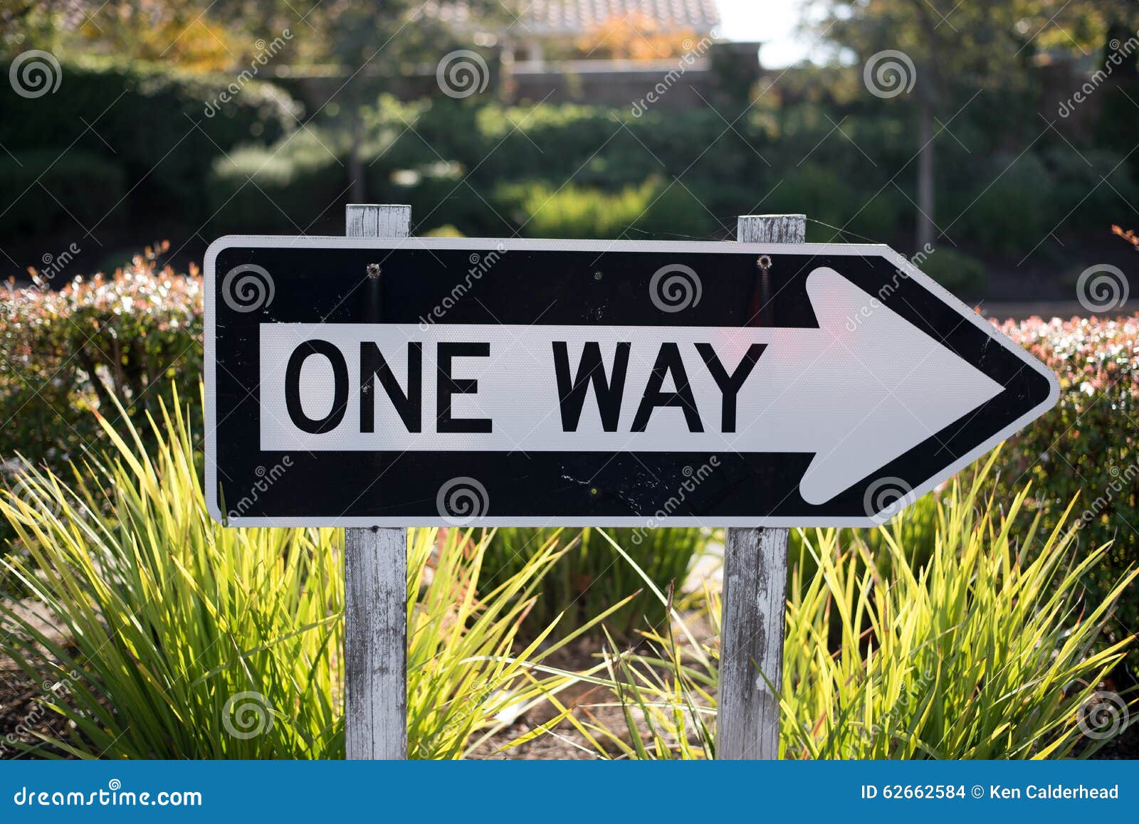 One Way Sign stock photo. Image of auto, icon, safety - 62662584