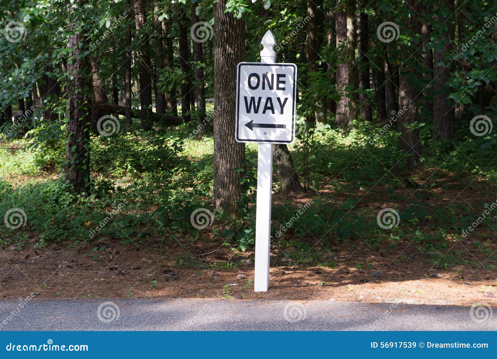 One Way Sign stock image. Image of oneway, forest, arrow - 56917539
