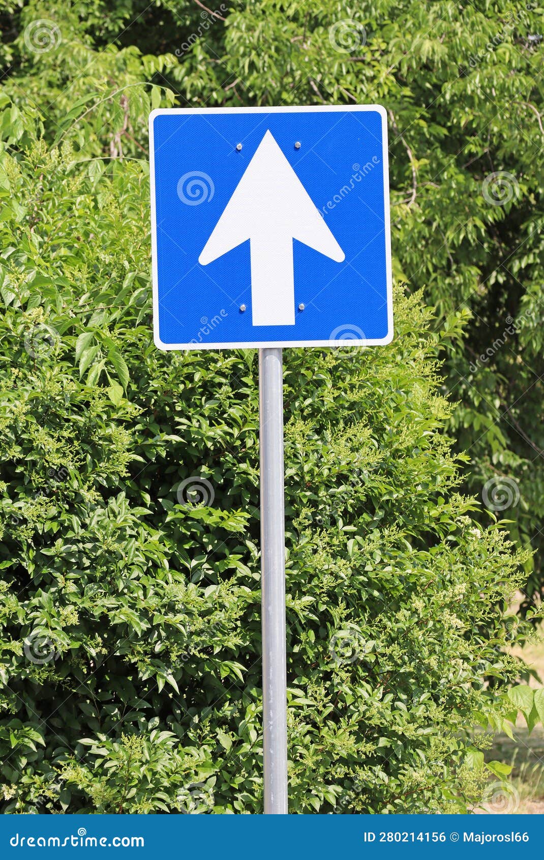 One Way Traffic Sign in Front of a Green Bush Stock Photo - Image of ...