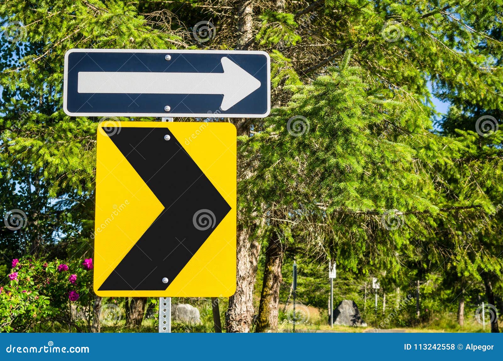One Way Traffic Sign with Trees in Background Stock Photo - Image of ...