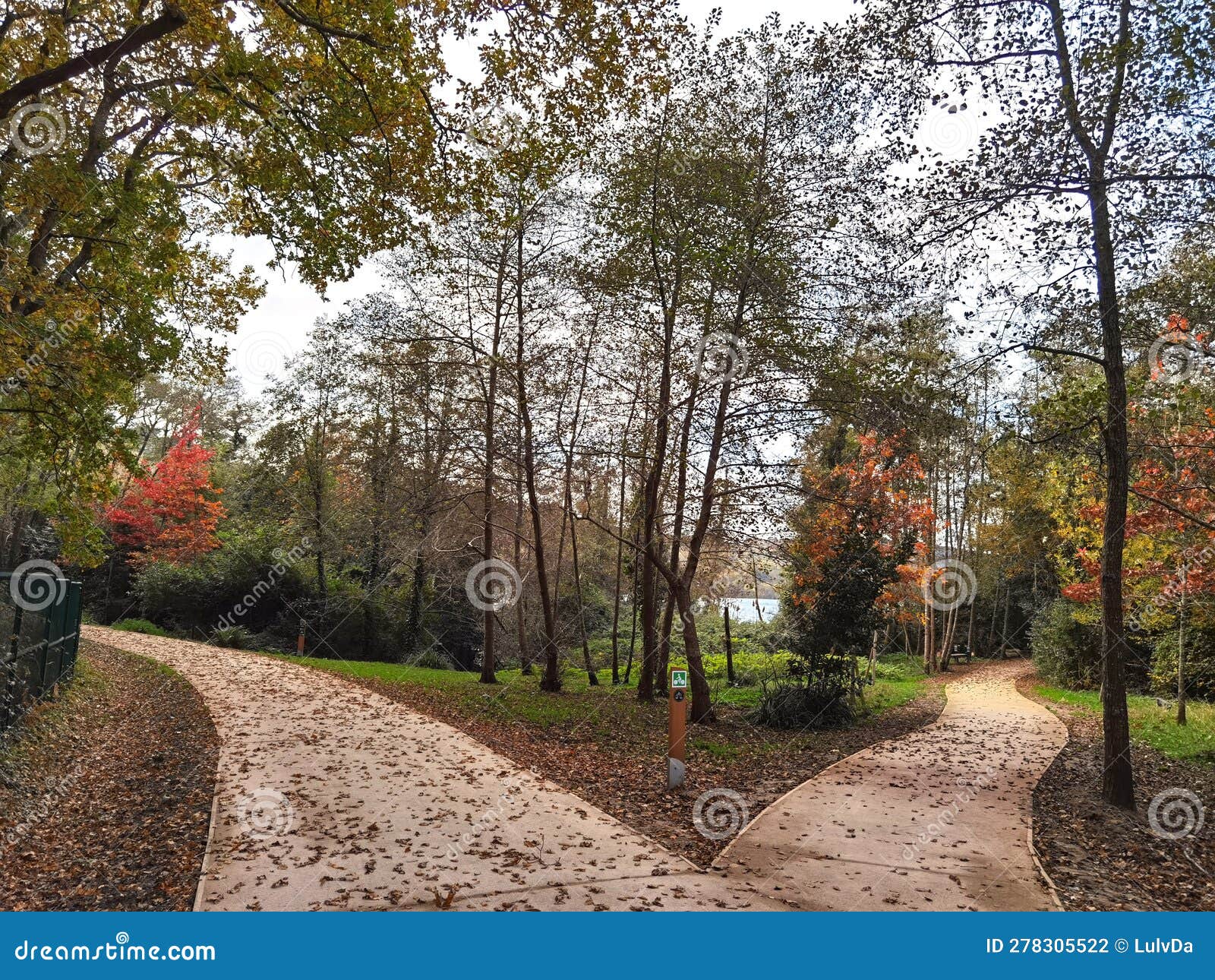 One way and two directions stock photo. Image of garden - 278305522