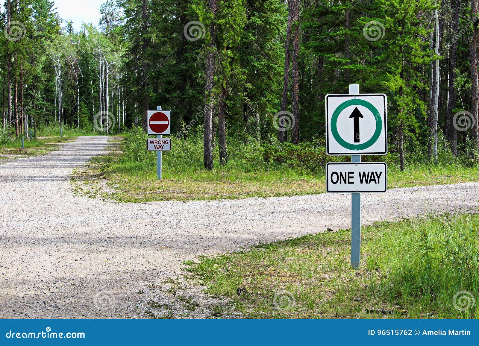 A One Way and a Wrong Way Sign by a Country Road Intersection Stock ...