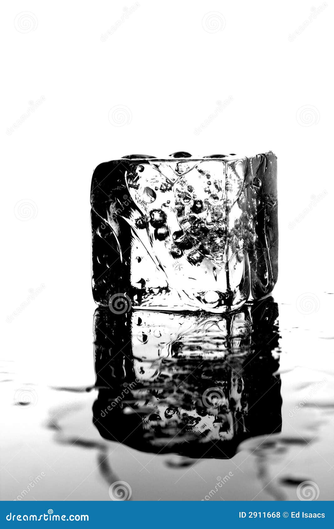 One Wet Ice Cube stock photo. Image of clear, refreshing - 2911668
