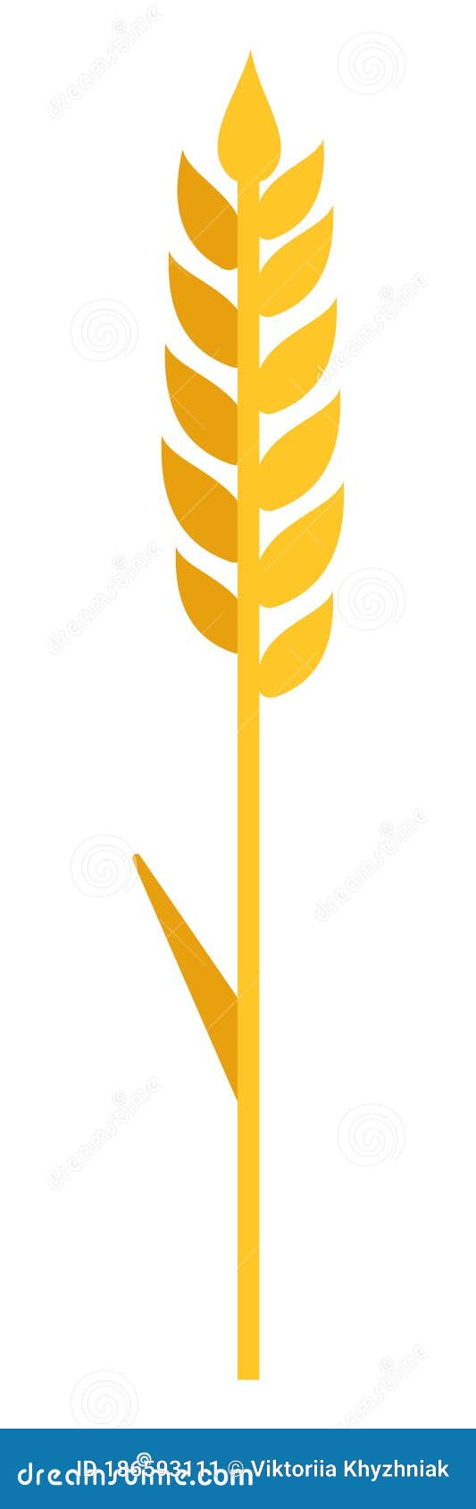 Wheat Spike Vector Flat Isolated Stock Vector - Illustration of crops ...